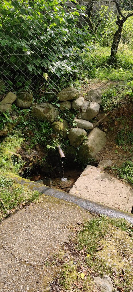 Pınar, çay Spring, , foto