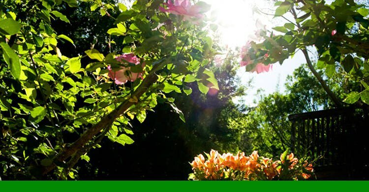 Tıp merkezleri ve klinikler Greenway Chapel & Memorial Gardens, Yeni Güney Galler, foto