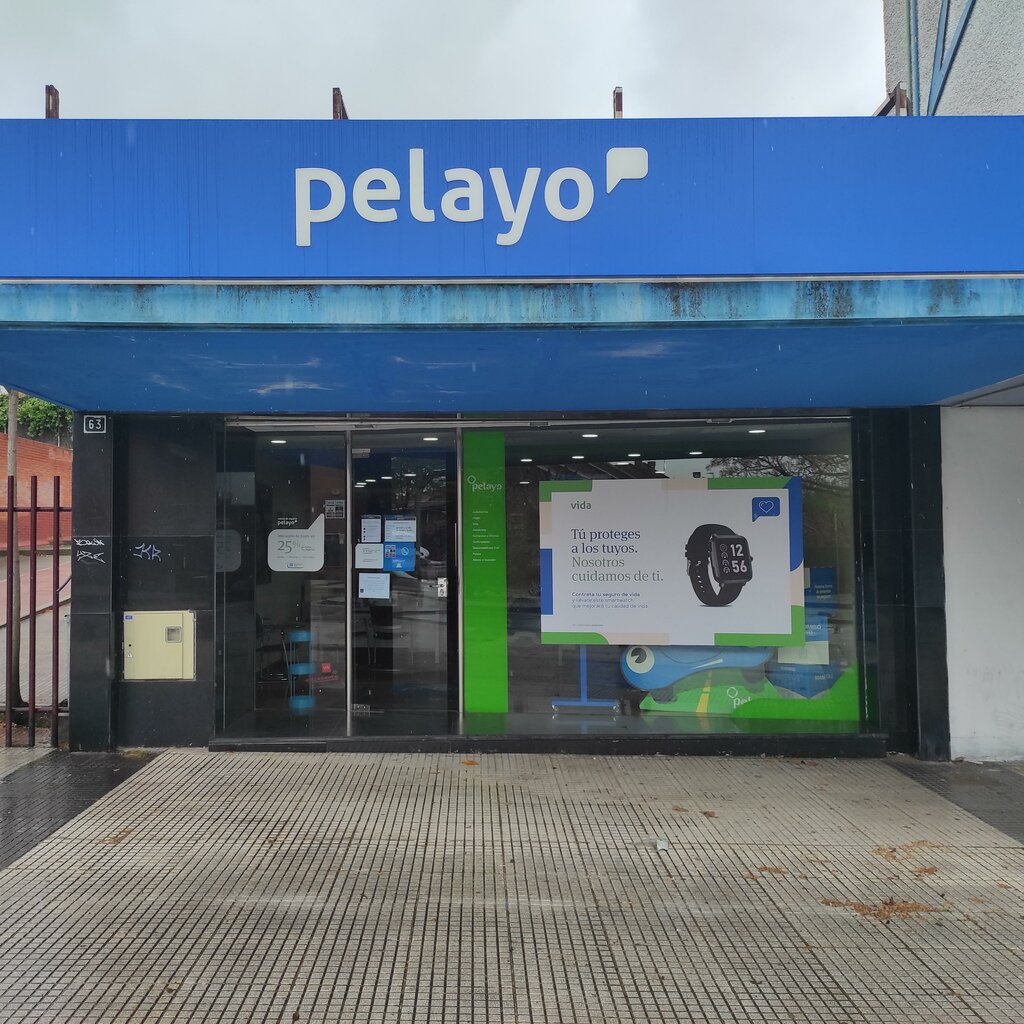 Sigorta şirketleri Oficina Seguros Pelayo, Madrid, foto