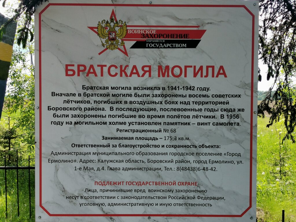 Anıt, heykel Memorial to the fallen pilots, Kalujskaya oblastı, foto