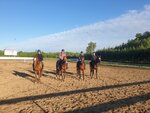 Konnosportivny klub Felitsiya (Igarskaya ulitsa No:44, Kemerovo), at ve binicilik kulüpleri  Kemerovo'dan
