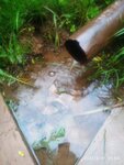 Spring, stream (Republic of Bashkortostan, Oktyabrskiy, ulitsa Novosyolov), pınar, çay  Oktiabrski'den