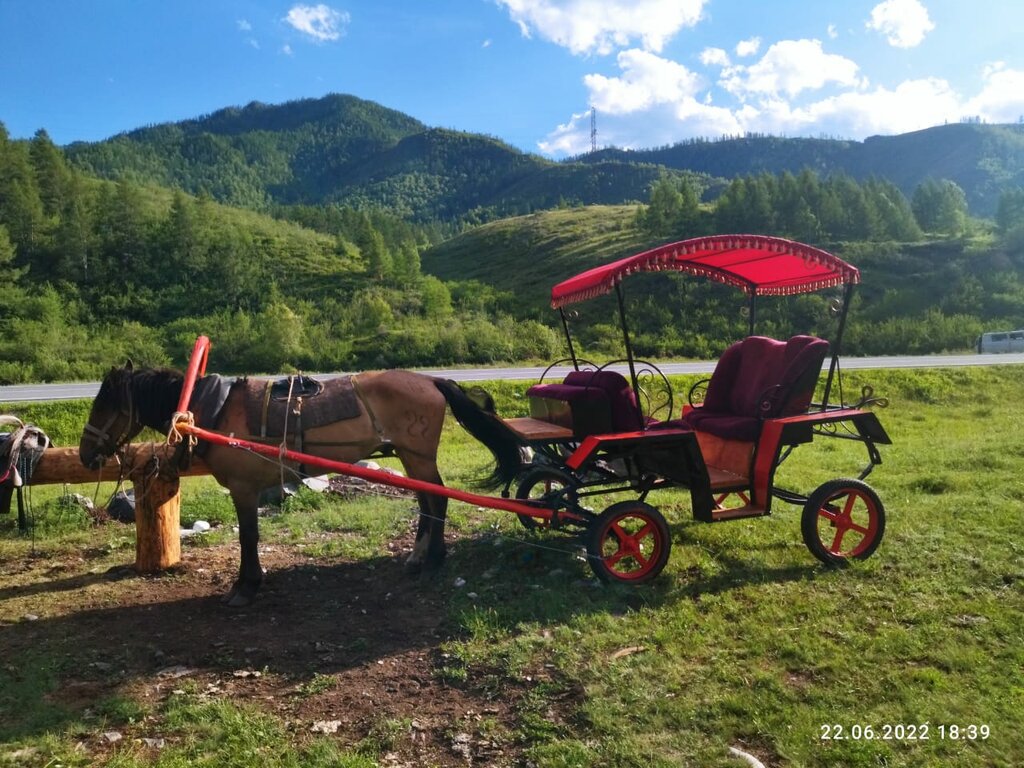 Fast food Sodon tas, Altay Cumhuriyeti, foto