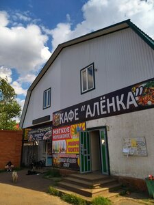 Аленка (ulitsa Shchetinina No:114А, Shira, Russian Federation), kafe