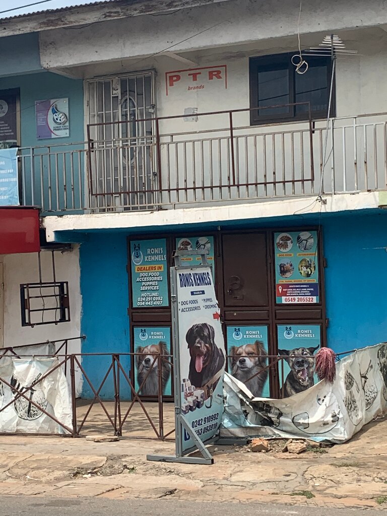 Petshop Ronis Kennels, Akra, foto