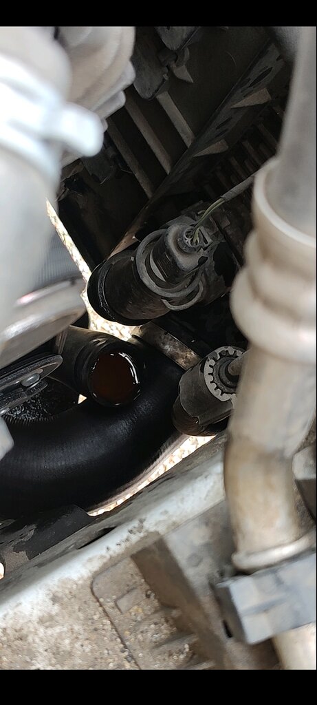 Otomobil servisi Автосервис, Sevastopol, foto