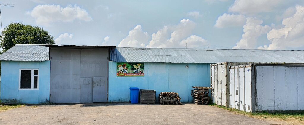 Toptancılar Raslit, Pskovskaya oblastı, foto