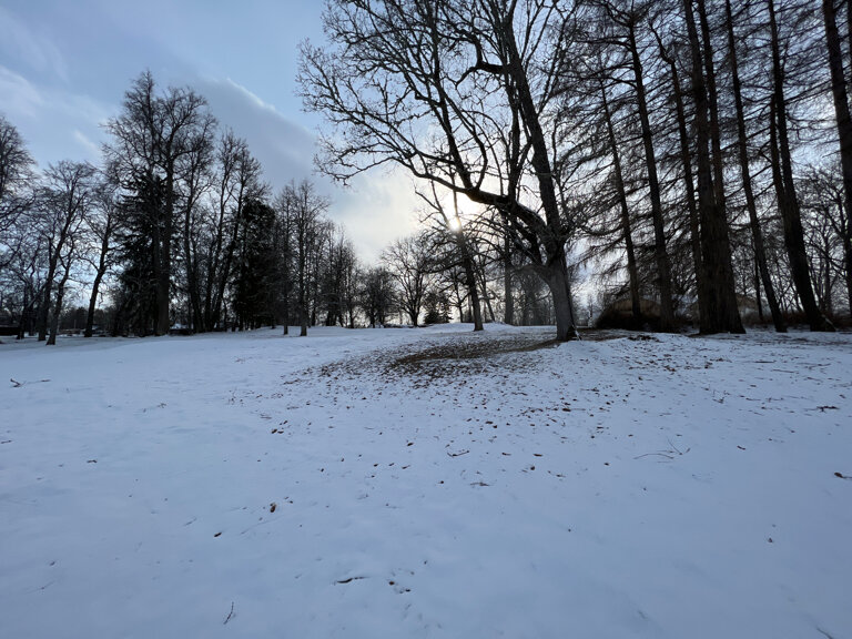 Turistik yerler Руины замка Львовых, Pskovskaya oblastı, foto