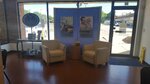 Trinas Neely: Allstate Insurance (State of Illinois, St. Clair County, Fairview Heights), sigorta şirketleri  Fairview Heights'tan