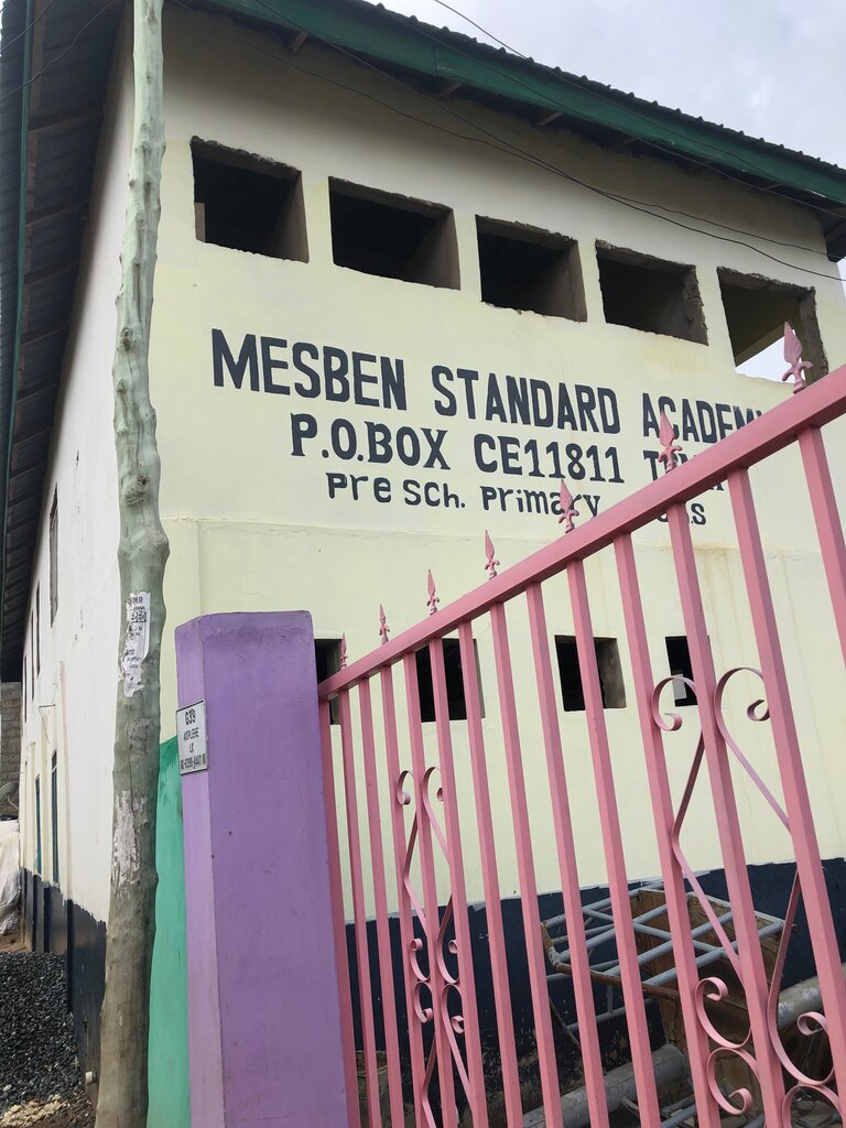 Ortaokul Mesben standard academy, Dünya, foto