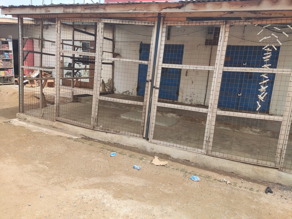 Kültürel etkinlikler için kiralık alanlar Vittagor Rentals, Dünya, foto