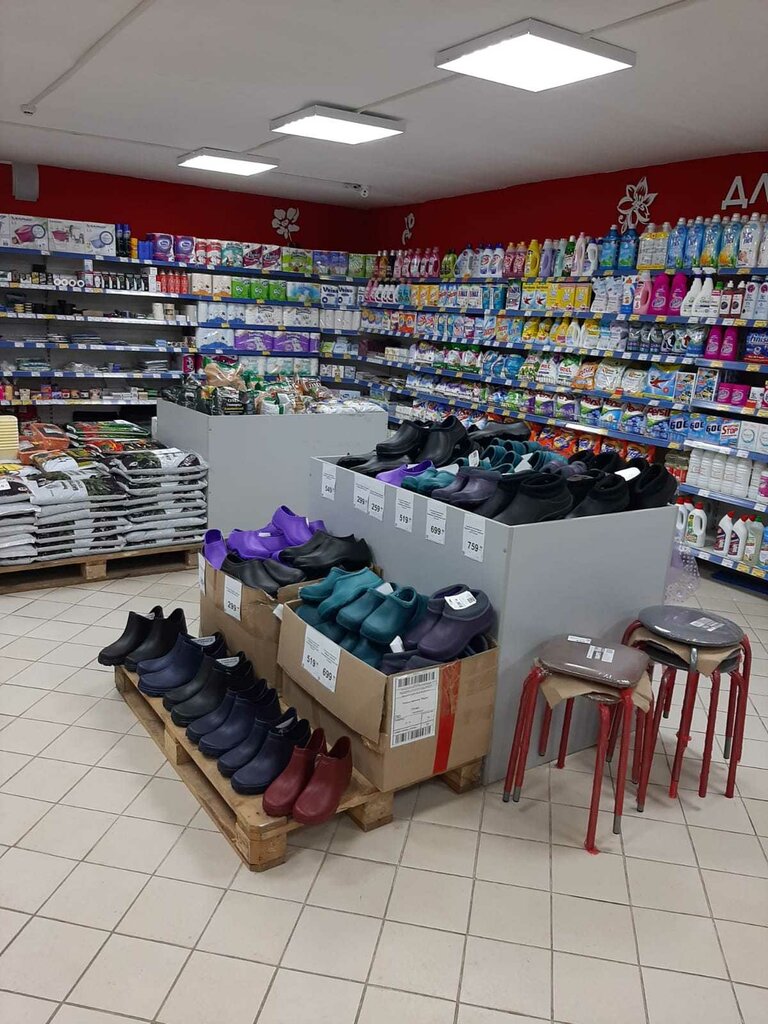 Ev temizlik ürünleri Belosnezhka, Kostromskaya oblastı, foto