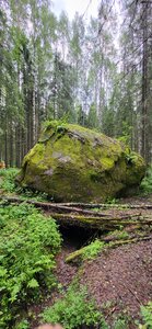 Валун Пирамида (Vologda Region, Vytegorskiy rayon, selskoye poseleniye Kemskoye), doğa  Vologodskaya oblastından