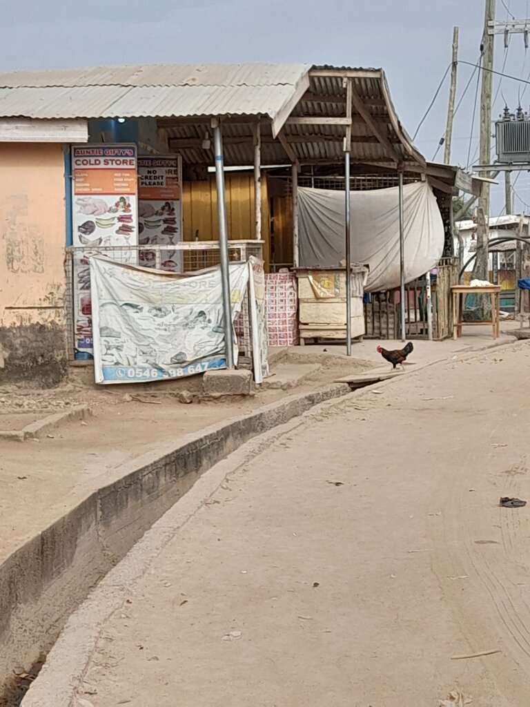 Dondurulmuş gıda firmaları Auntie Gifty cold store, Dünya, foto