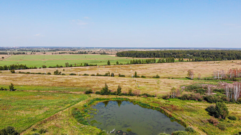 Arazi dizisi Starnikovo Yasnoe, Moskova ve Moskovskaya oblastı, foto