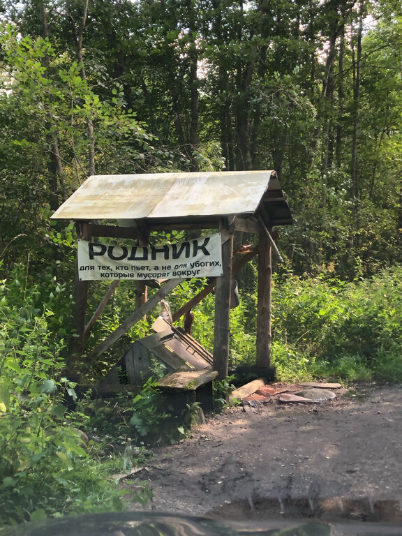 Pınar, çay Spring, stream, Saint‑Petersburg ve Leningradskaya oblastı, foto