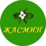 Jasmin (Baltiyskaya ulitsa No:35, Sovetskiy City Administrative District, mikrorayon Shlyuz), çiçekçiler  Novosibirsk'ten