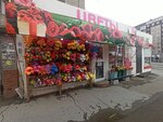 Viktoriya (Severo-Zapadnaya Street No:58Д), çiçekçiler  Barnaul'dan