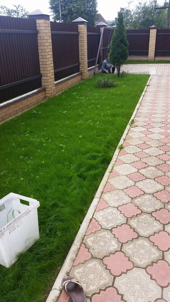 Şehir planlama Gazonokosilkin, Aleksandrov, foto