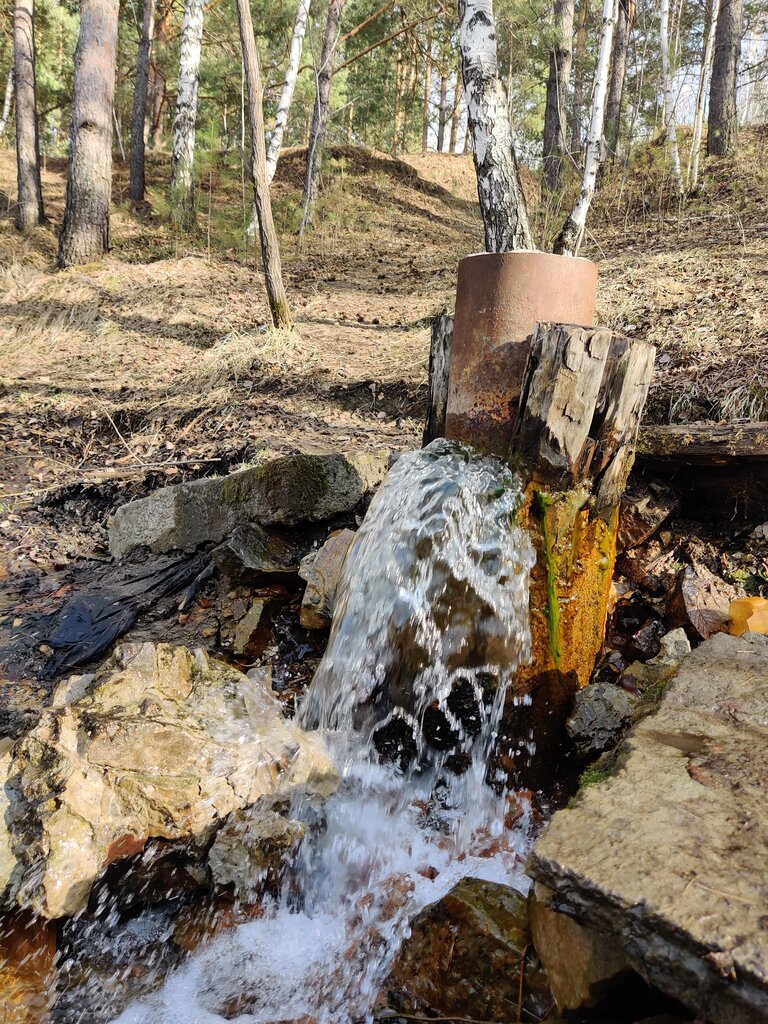 Pınar, çay Spring, stream, İrkutskaya oblastı, foto