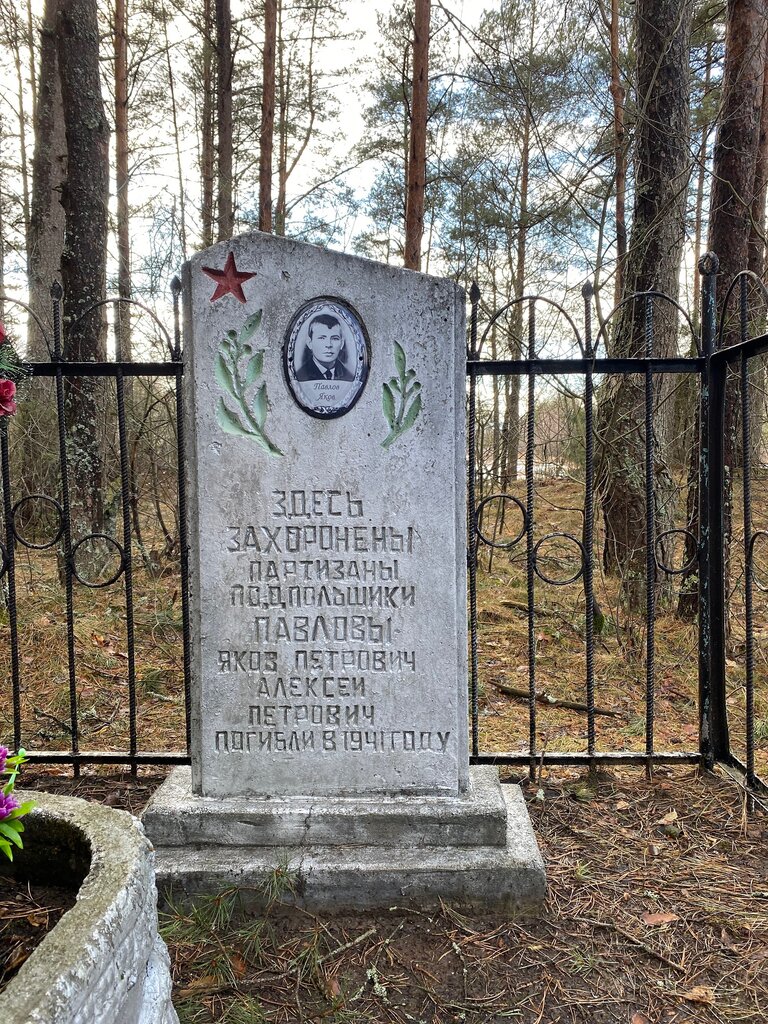 Anıt, heykel Братская могила партизан-подпольщиков, Pskovskaya oblastı, foto