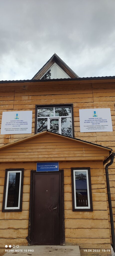 Kerestecilik, ağaç satışı Центральное Лесное Хозяйство, Sahalin Bölgesi, foto