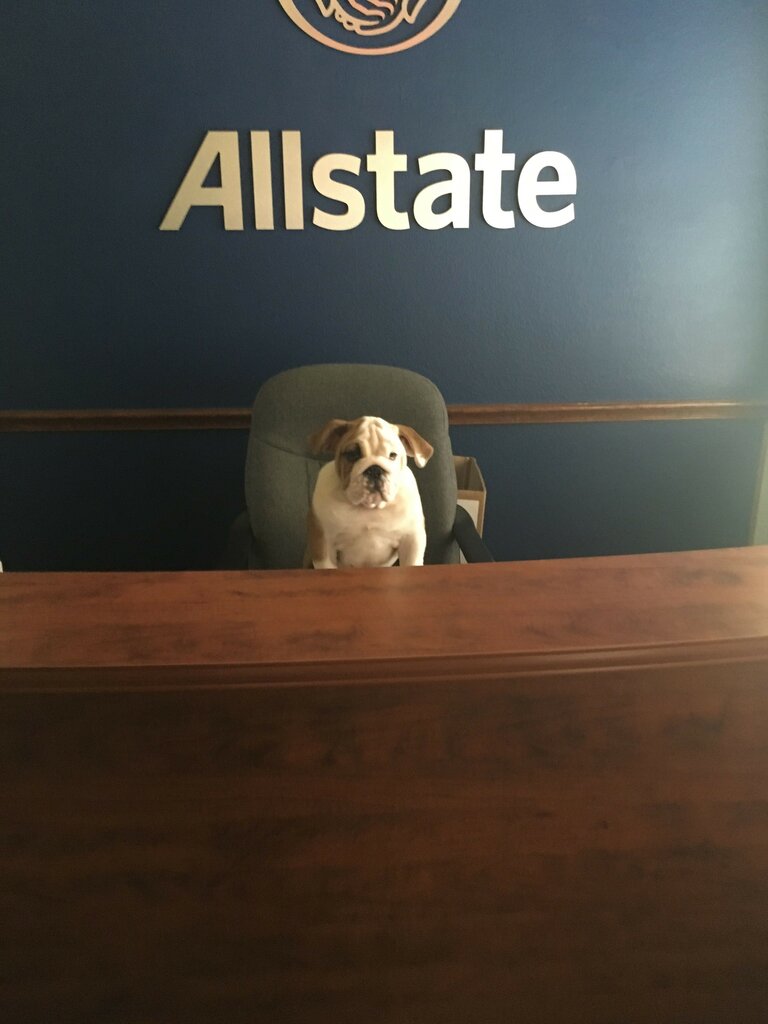 Sigorta şirketleri Charles McGriff: Allstate Insurance, Texas, foto