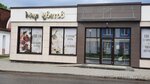 Мир цветов (Kamsamolskaja Street No:36А), çiçekçiler  Shchuchyn'den