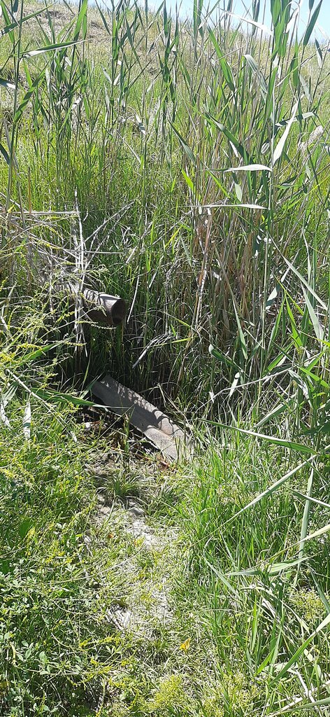 Pınar, çay Spring, stream, Volgograd, foto