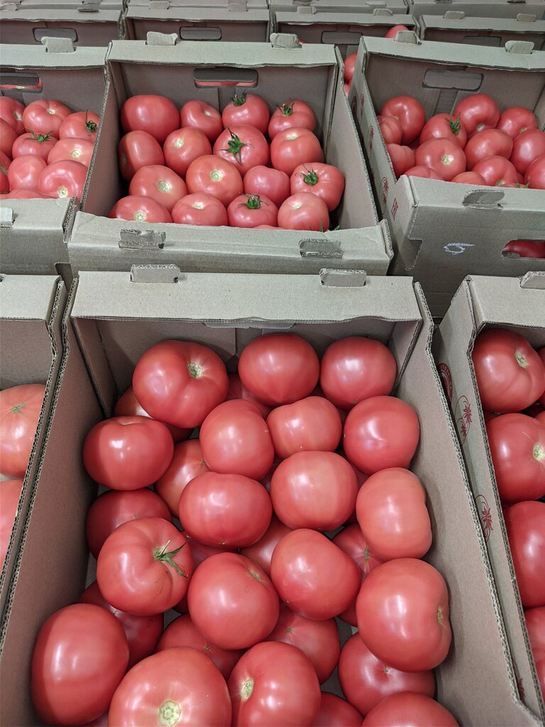 Toptan sebze ve meyve satışı Центр продаж, Sosnoviy Bor, foto