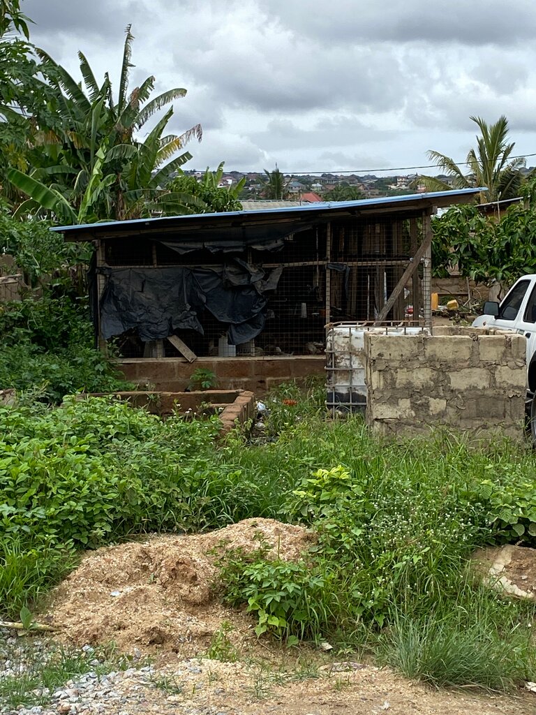 Tarım firmaları Afariwa Poultry Farm, Dünya, foto