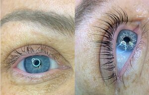 Clean Slate Waxing Lounge (Texas, Travis County, Austin), güzellik salonu  Austin'den