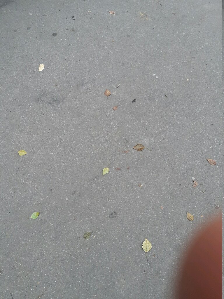 Bilgisayar aksesuarları Магазин гаджетов и аксессуаров, Habarovsk, foto