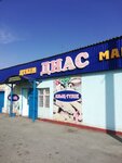 Dias (Jambyl oblysy, Taraz, Tashkent street), market  Taraz'dan