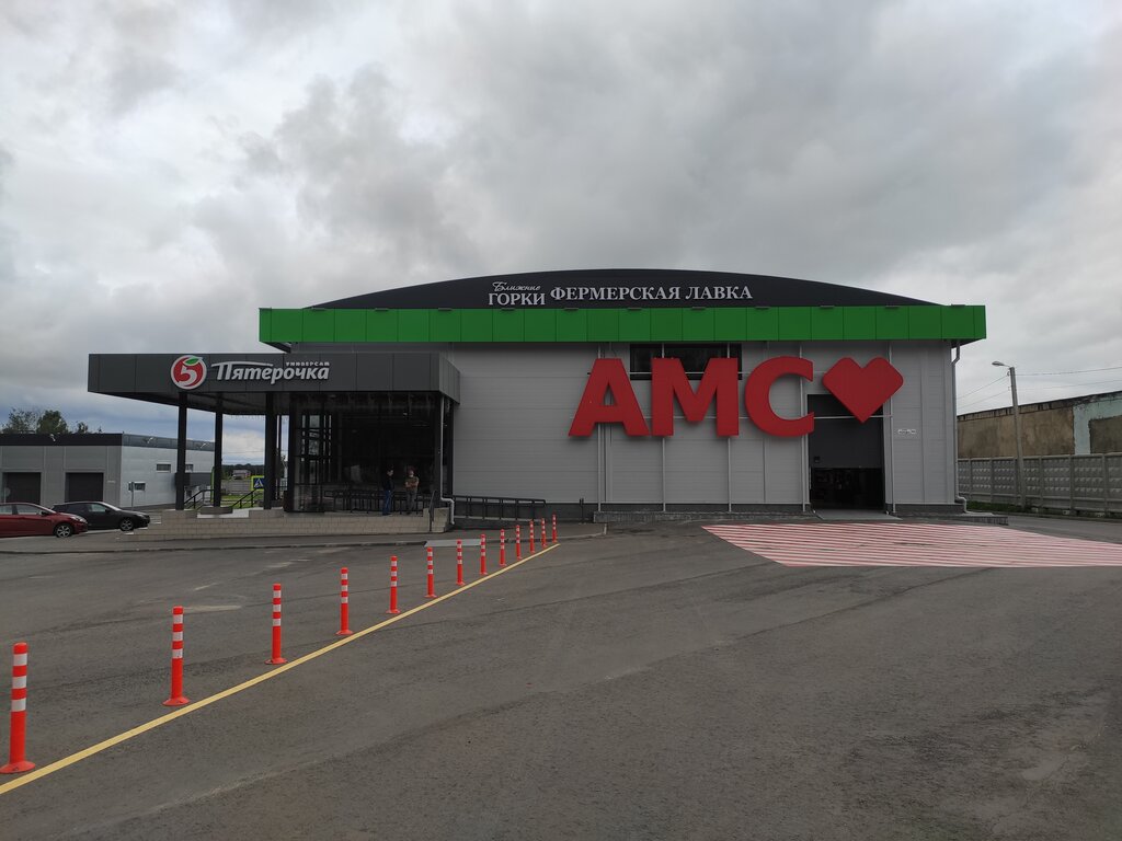 Market Blizhnie Gorki, Moskova ve Moskovskaya oblastı, foto