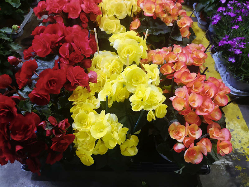 Çiçek teslimatı Floricoltura Pecettese, Piyemonte, foto