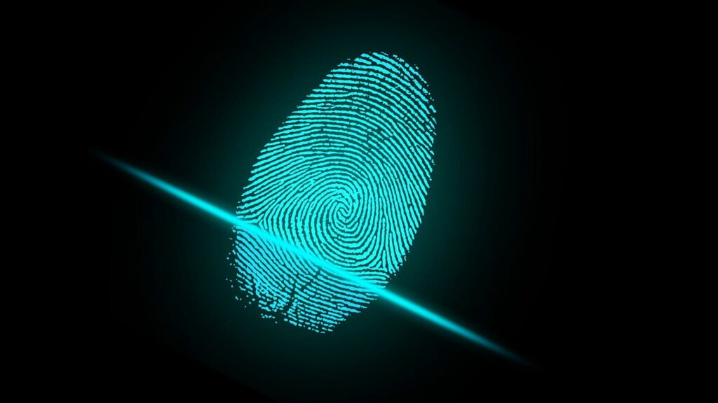 Lojistik firmaları Dataseguridad SAS, Bogota, foto