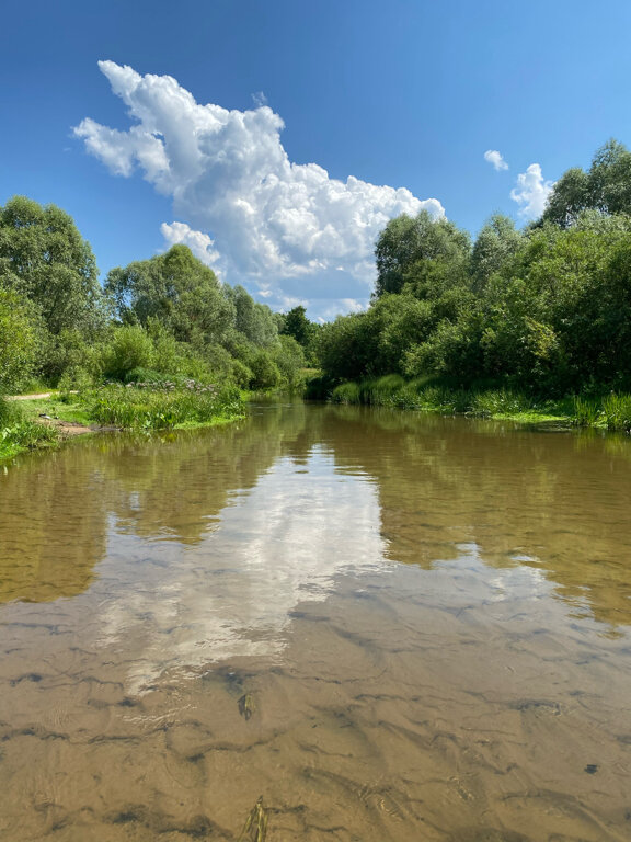 Plaj Пляж, Mordovya, foto