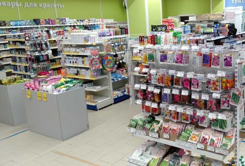 Ev temizlik ürünleri Belosnezhka, Kostromskaya oblastı, foto