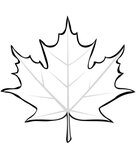 Maple Leaf (Lanskoe Highway No:14к1), mobilya fabrikaları  Saint‑Petersburg'dan