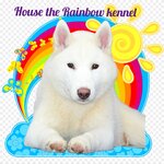 House the Rainbow (Altufyevskoye Highway No:87), evcil hayvan yetiştiricileri  Moskova'dan