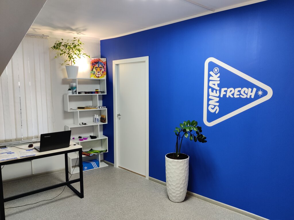 Kuru temizlemeciler Sneaknfresh, Kostroma, foto