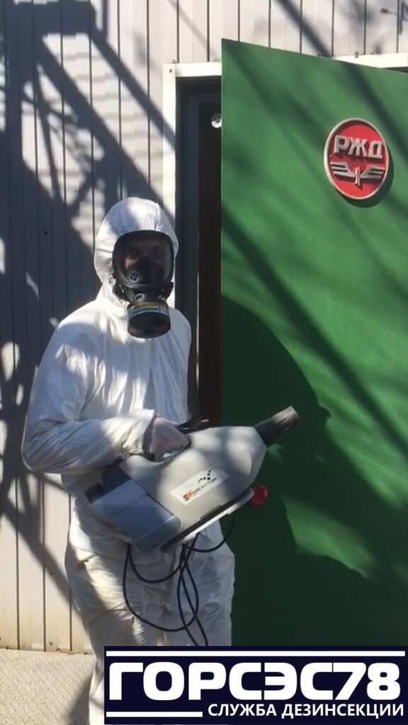 Haşere ilaçlama firmaları Disinsection, disinfection and deratization service, Saint‑Petersburg, foto