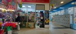 Котёнок Гав (Tolyatti Street No:27А), petshop  Novokuznetsk'ten