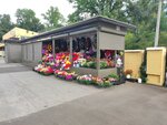 Торговый павильон ритуальных товаров (Saint Petersburg, Metallistov Avenue), yapay bitki ve çiçek  Saint‑Petersburg'dan