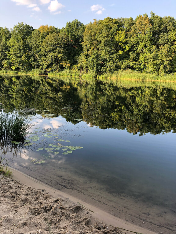 Plaj Ивницкий пляж, Voronejskaya oblastı, foto