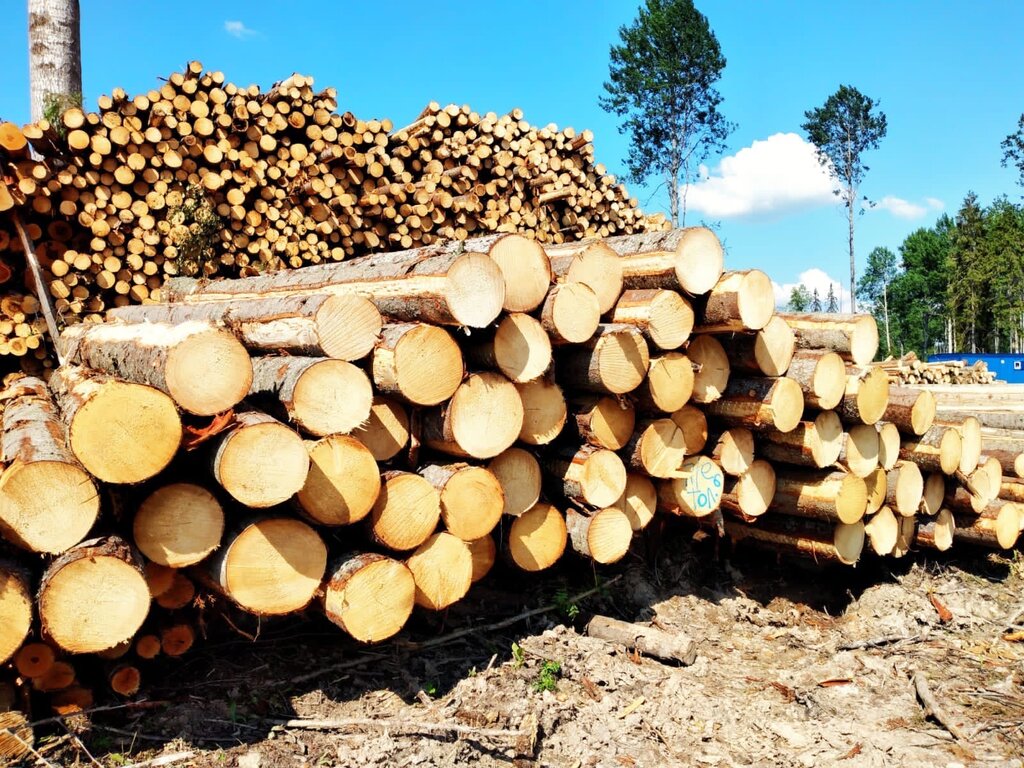 Yakıt firmaları Biotoplivnoye predpriyatiye Svir Pellets, Podorogie, foto