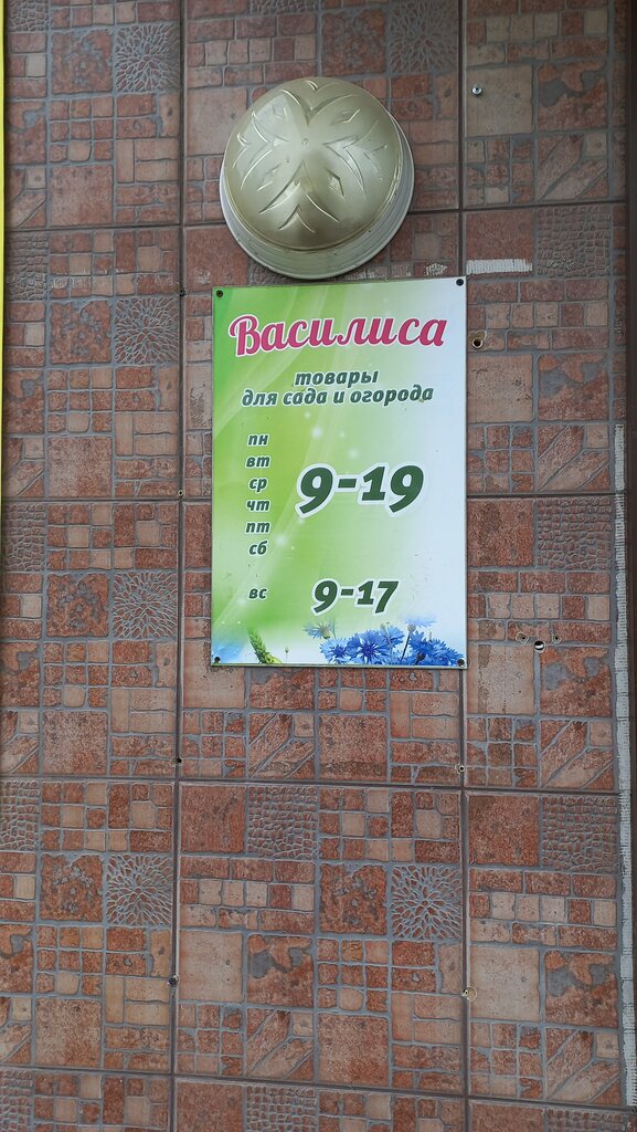 Tohum satan yerler Василиса, Velikiy Novgorod, foto