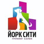 York city (ulitsa Yuriya Gagarina No:56), evcil hayvan kuaförleri  Ufa'dan