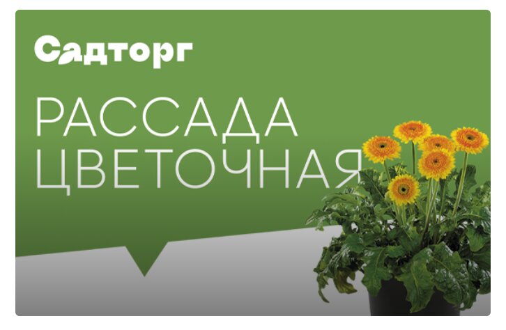 Bahçecilik mağazaları Sadtorg, Tolyatti (Togliatti), foto